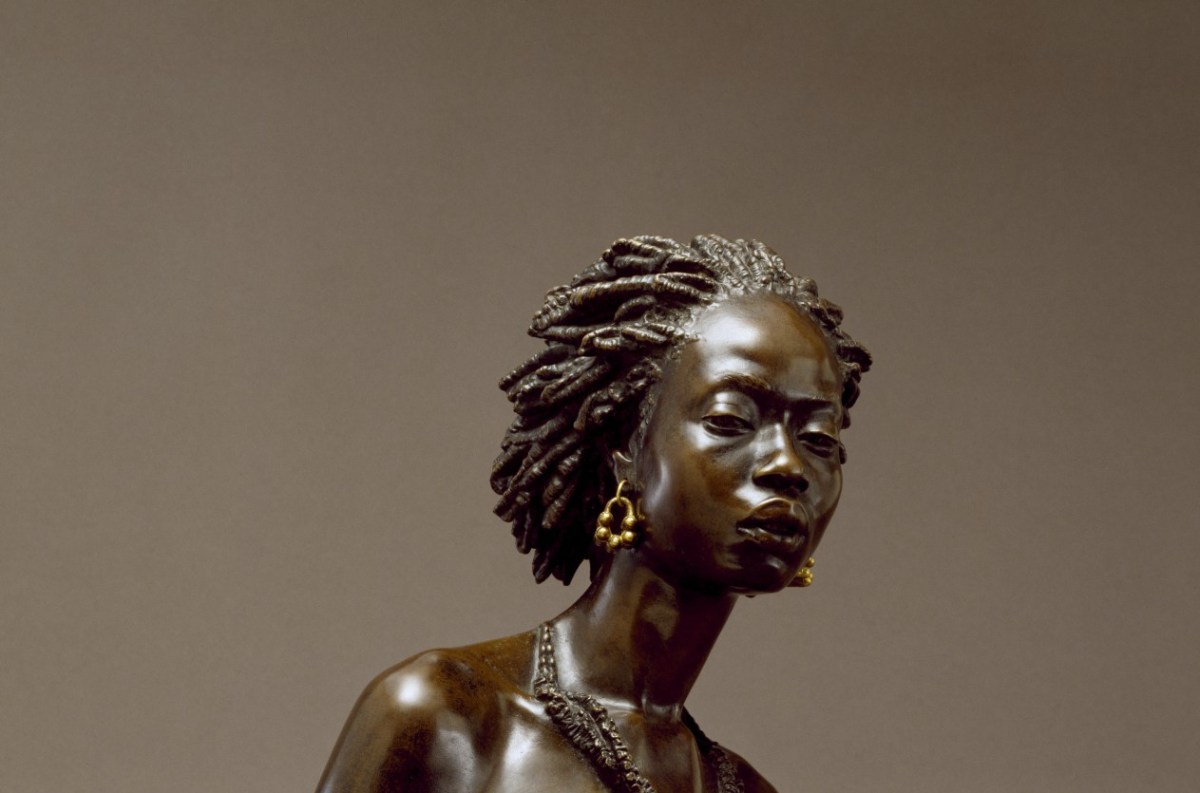 Vénus Noire: An Interview with Robin Mitchell – Age of Revolutions